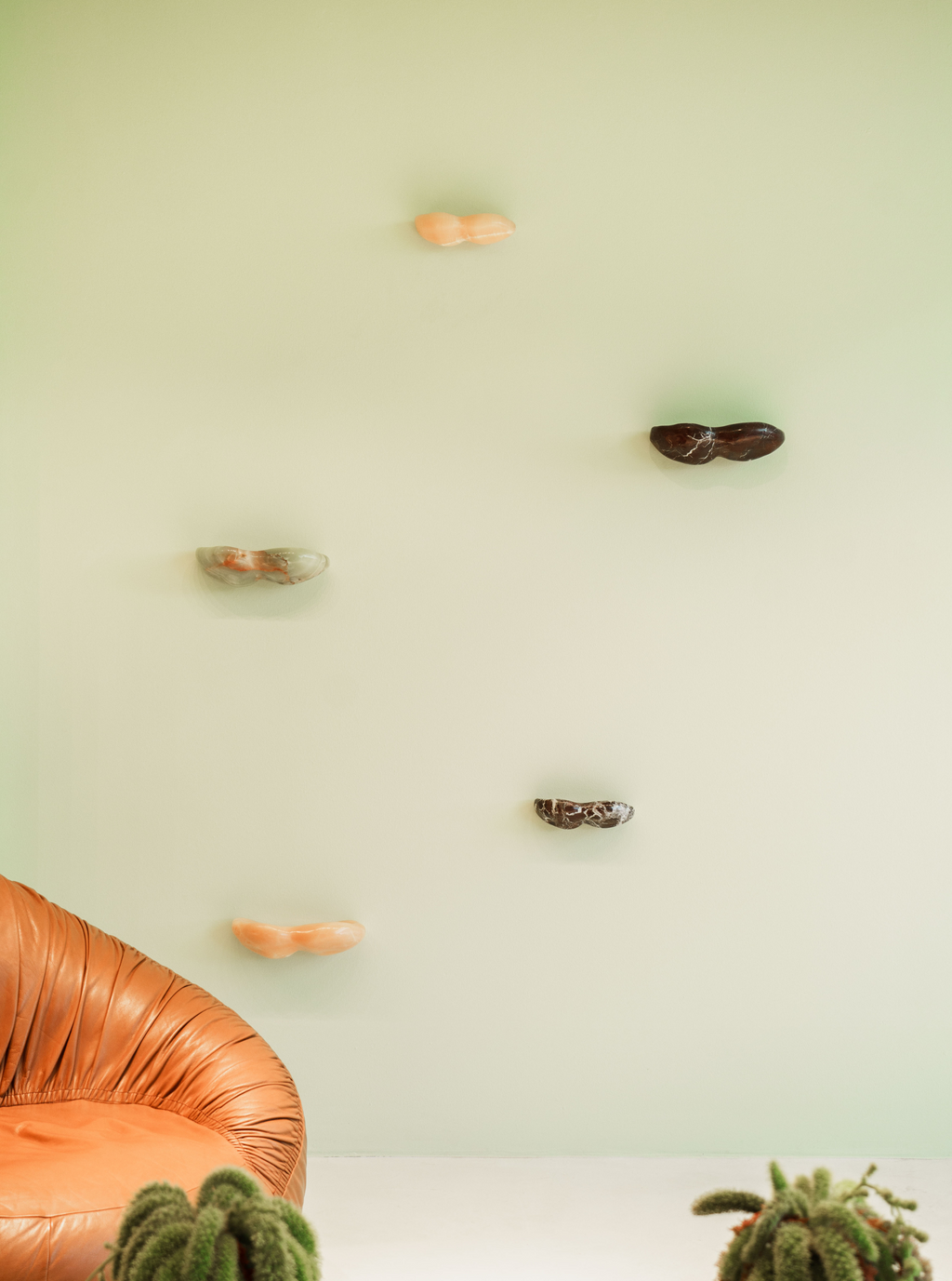 Peanut Shelf Large - Verde Onyx – Wandler.com